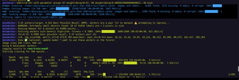 Terminal Output Prints Class Images Labels But Value Under Images Is