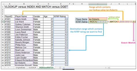 Index And Match Formula In Excel Design Talk