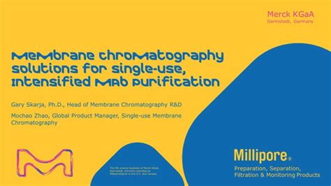 Membrane Chromatography Solutions For Single Use Intensified Mab Purification Ppt