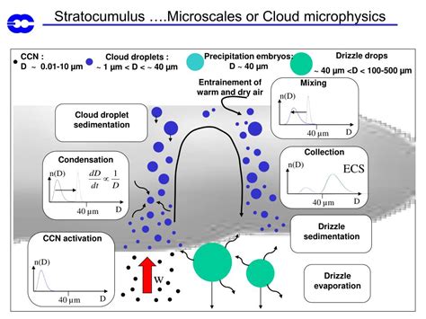Ppt Stratocumulus Theory And Model Irina Sandu Powerpoint Presentation Id 4237378