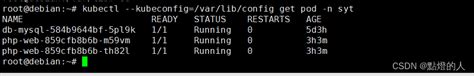Linux主机上面使用kubectl连接 Kubernetes 集群kubectl 连哪里 Csdn博客