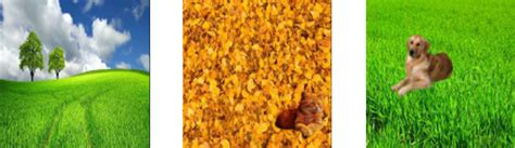 Object Localization Using Keras — Part 2 By Roy Ganz Analytics