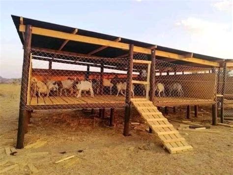 Pin By Cleopatrah Mlalazi On Goat House Goat House Goat Shelter