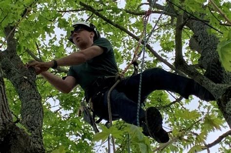 Tree Pruning And Trimming ISA Certified Arborists In WI