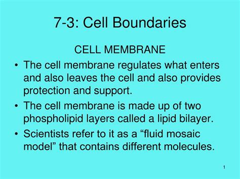 PPT - 7-3: Cell Boundaries PowerPoint Presentation, free download - ID:733092