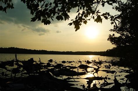 Camp Minsi Ecology Minsi Trails Council