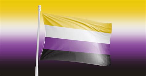 what is non binary pride flag and what they stand for tmj coaching