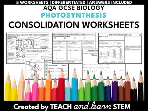 Photosynthesis Aqa Gcse Biology Worksheets Visual Notes Summary Consolidation Teaching Resources