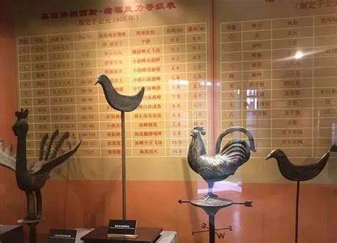 古人是如何测风的？要从一只鸟，说起！