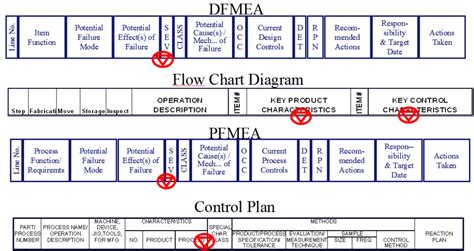 special characteristics identifying key factors in project implementation