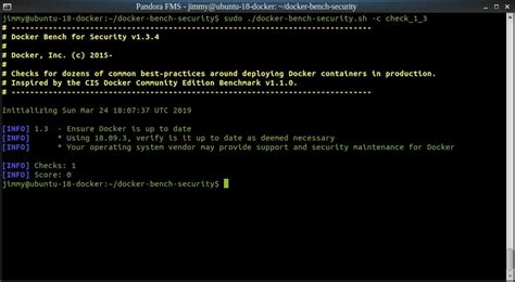 Docker Bench For Security With Pandora Fms