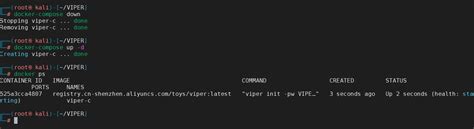 Viper渗透框架viper安装 Csdn博客 Viper渗透框架viper安装 Csdn博客