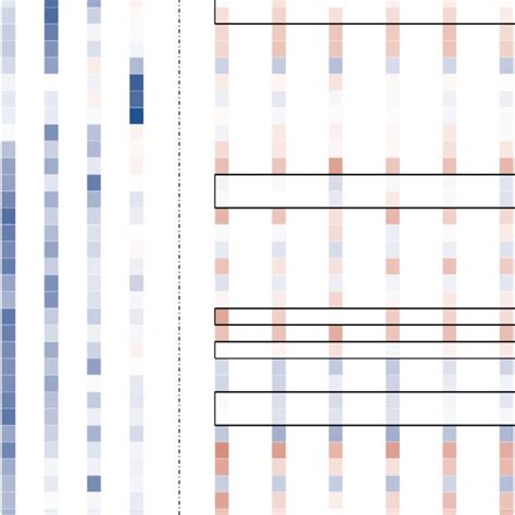 Heatmap Of The Common Left Panel And Study Specific Right Panel