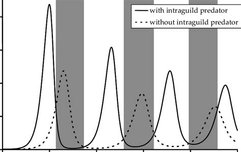 The Effect Of Intraguild Predation On Transient Dynamics According To