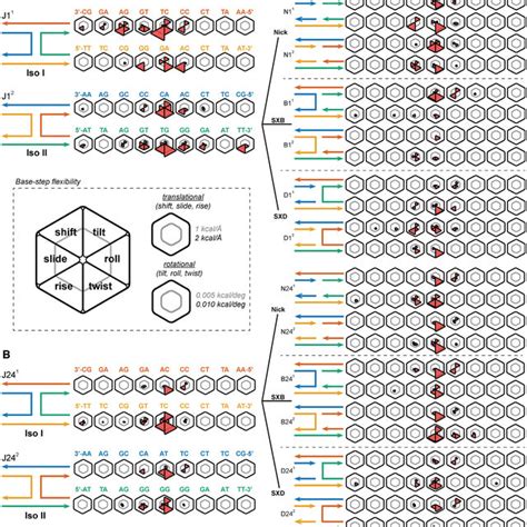 The Effect Of Junction Topology On Base Pair Step Flexibility A