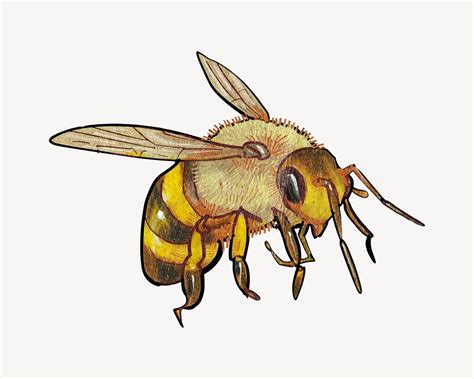 Cute Bumblebee Insect Element Free Photo Illustration Rawpixel