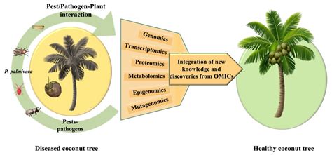 potential of omics to control diseases and pests in the coconut tree