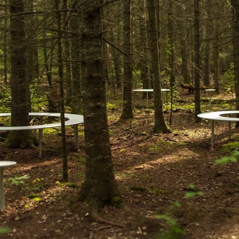 Thom Fougere Creates Collection Of Ring Shaped Benches For Forest Floor
