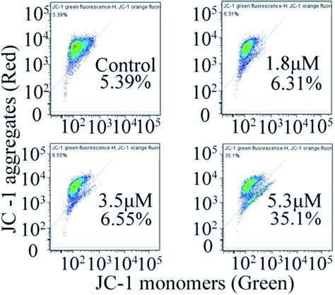 Measurement Of Mitochondrial Membrane Potential By Flow Cytometry In