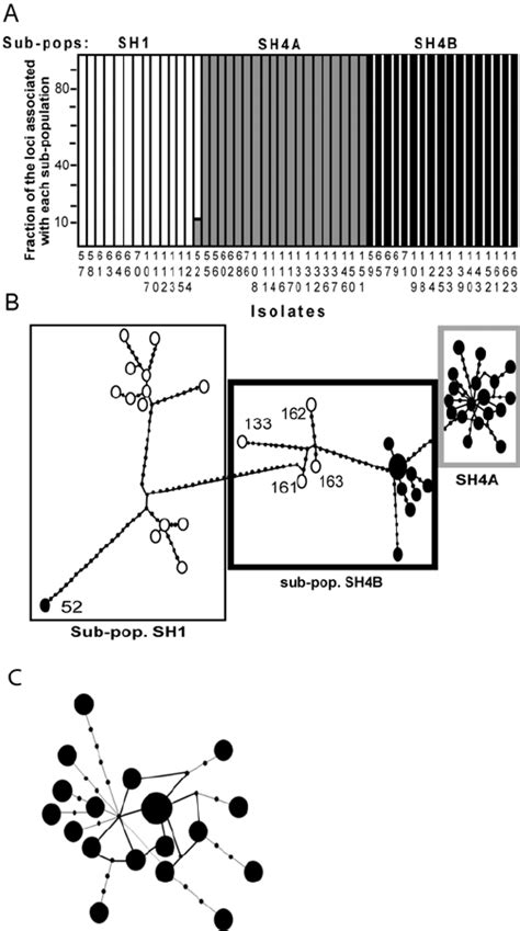 A Bayesian Population Clustering Of 50 Brown Spot Isolates Represent Download Scientific
