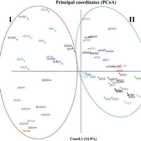 Pcoa Plot Of The E Resinifera Individuals Showing Relationships Based