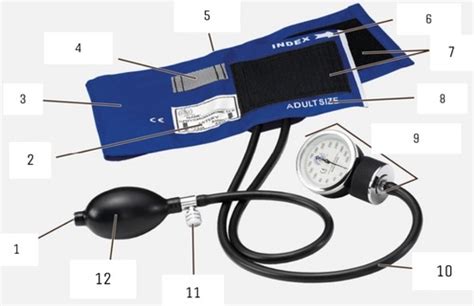 Parts Of Sphygmomanometer Flashcards Quizlet