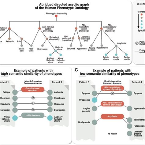 Calculating Patient Semantic Similarity Based On Hpo Phenotypes A Hpo