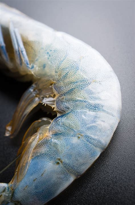 Blue Prawns © David Bonnier Savoury Food Food Photography Prawn