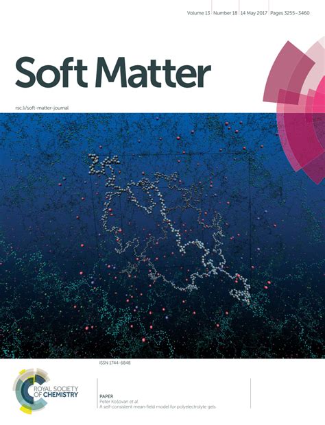 Pdf A Self Consistent Mean Field Model For Polyelectrolyte Gels