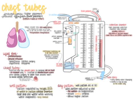 Chest Tube Management Etsy