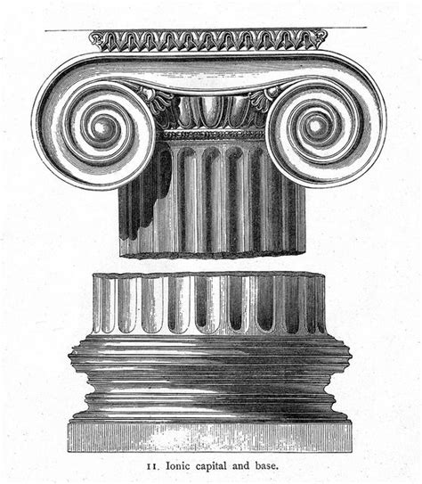 Architectural Orders Ionic Order Detail Ionic Order Architectural