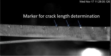 Image For Crack Length Determination Download Scientific Diagram