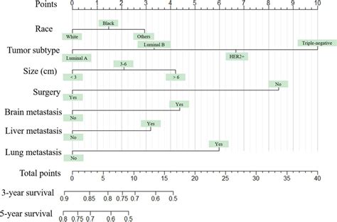 The Graph Shows The Nomogram Predicting 3 And 5 Year Overall Survival Download Scientific