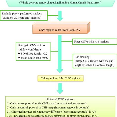 The Flow Chart Of The Criteria For Copy Number Variation Cnv Analysis Download Scientific