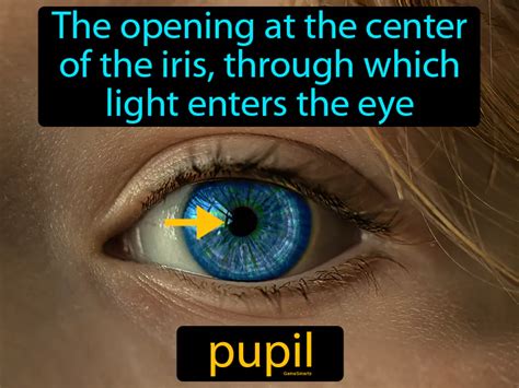 Pupil Definition Image Flippy