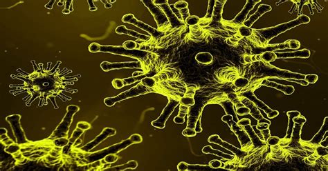 Sustainable Plastics On Linkedin Cellulose Coating Successfully