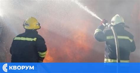 Огнена стихия погълна 22 дка гора и 200 пчелни кошера в Тутракан Кворум Силистра