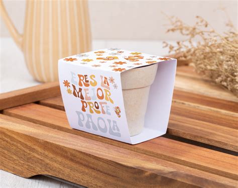 Kit De Semillas Profe Retro Regalo Original