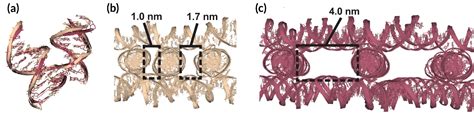 An Expanded Set Of Dna Building Blocks For 3d Lattices