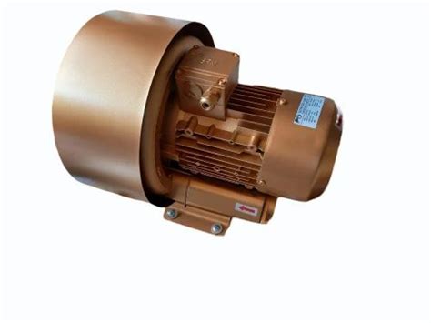 Brown 1 Hp Double Stage Regenerative Blower At Rs 29500 In Ahmedabad