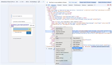 Xpath In Selenium Syntax Types And Examples Explained