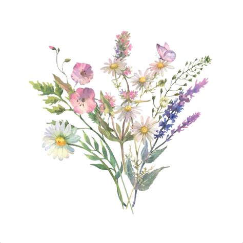 Watercolor Meadow Flowers Bouquet Of Chamomile Bindweed Sage And