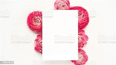 텍스트 배치를 위한 레이아웃입니다 텍스트를 위한 공간입니다 연애편지 흰 종이 봉투가 있는 흰색 카드 모형 꽃잎 장미와 Ranunculus입니다 발렌타인 데이 낭만적 인 배경