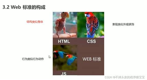 前端之html csdn博客