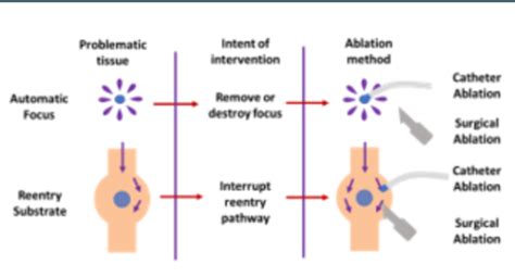 CSS Chapter 9 Flashcards Quizlet CSS Chapter 9 Flashcards Quizlet