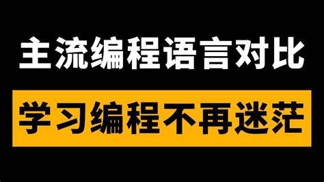 对比10 主流语言优劣，入门编程不迷茫！【程序员鱼皮】 java python计算机 youtube
