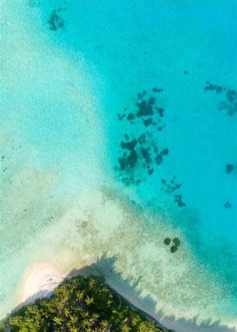 One Open Ecosystem Infinite Possibilities 2021