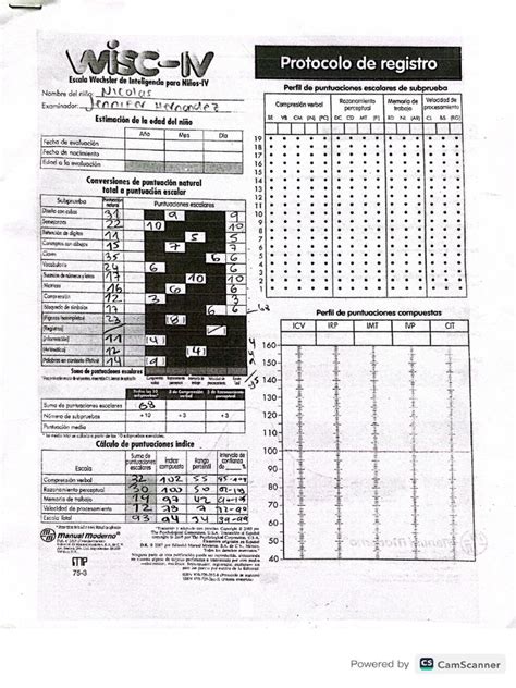 Wisc Iv Nicolas Pdf