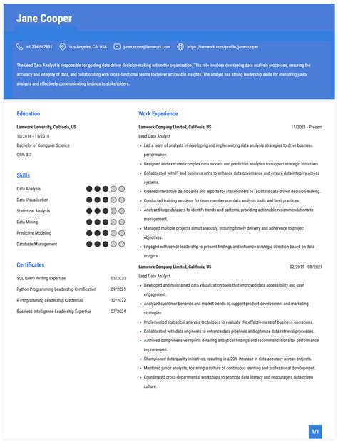 Lead Data Analyst Resume Example Lead Data Analyst Resume Example