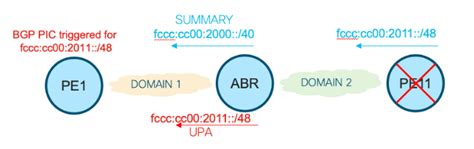 Segment Routing Srv6 Usid Unreachable Prefix Announcement